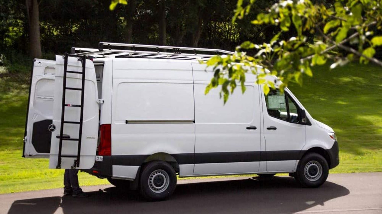 Rear Door LADDER for van (Transit/Sprinter/ProMaster) | No Drilling, No ...